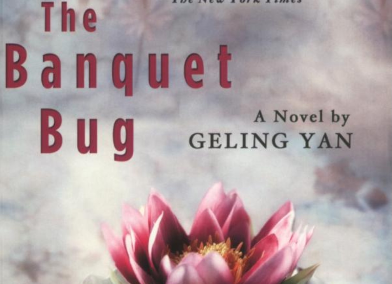 The Banquet Bug | 赴宴者 - Hot Pot Dragon | 火锅龙